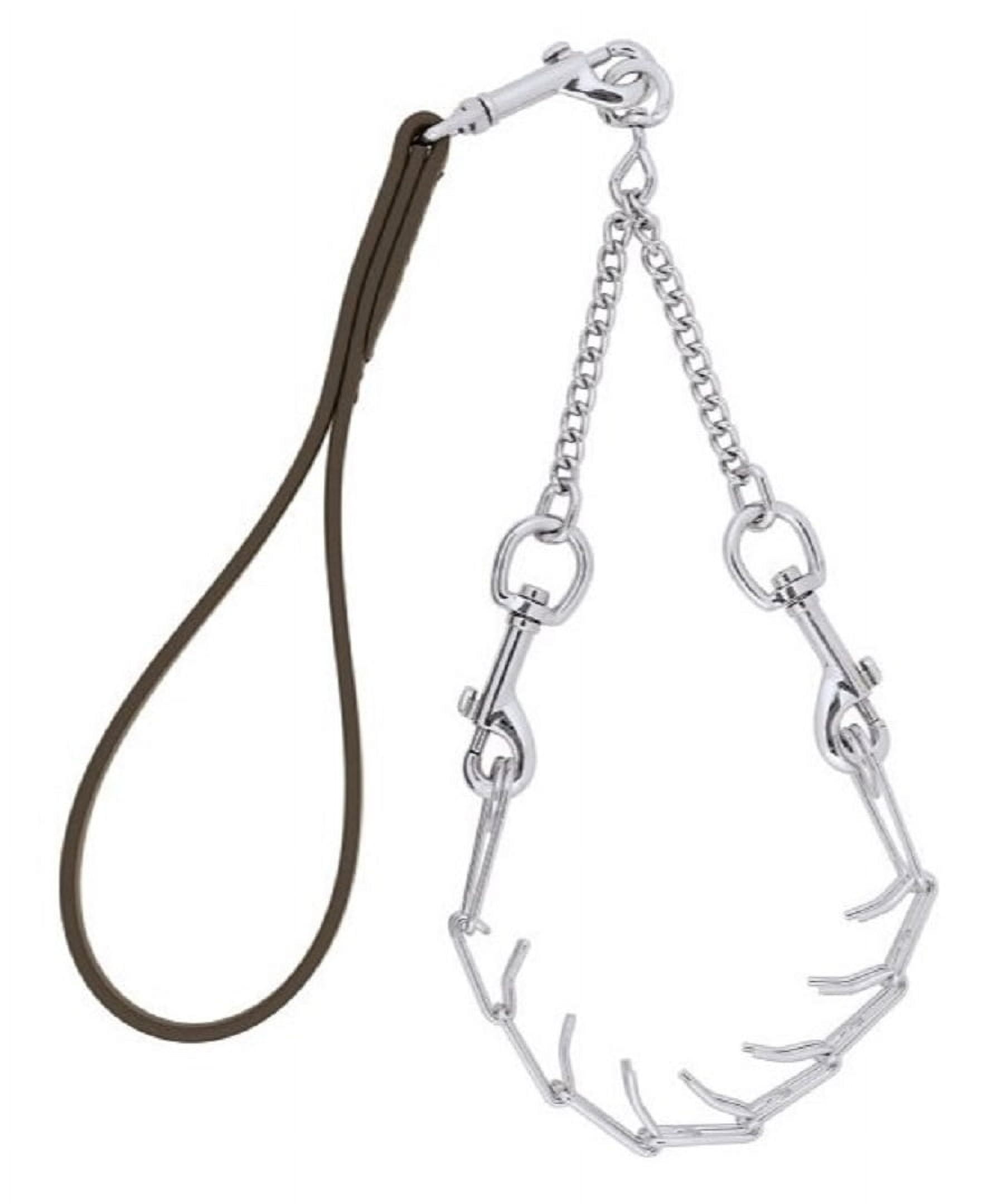 Weaver Leather Livestock Pronged Chain Goat Collar and Lead Set ...
