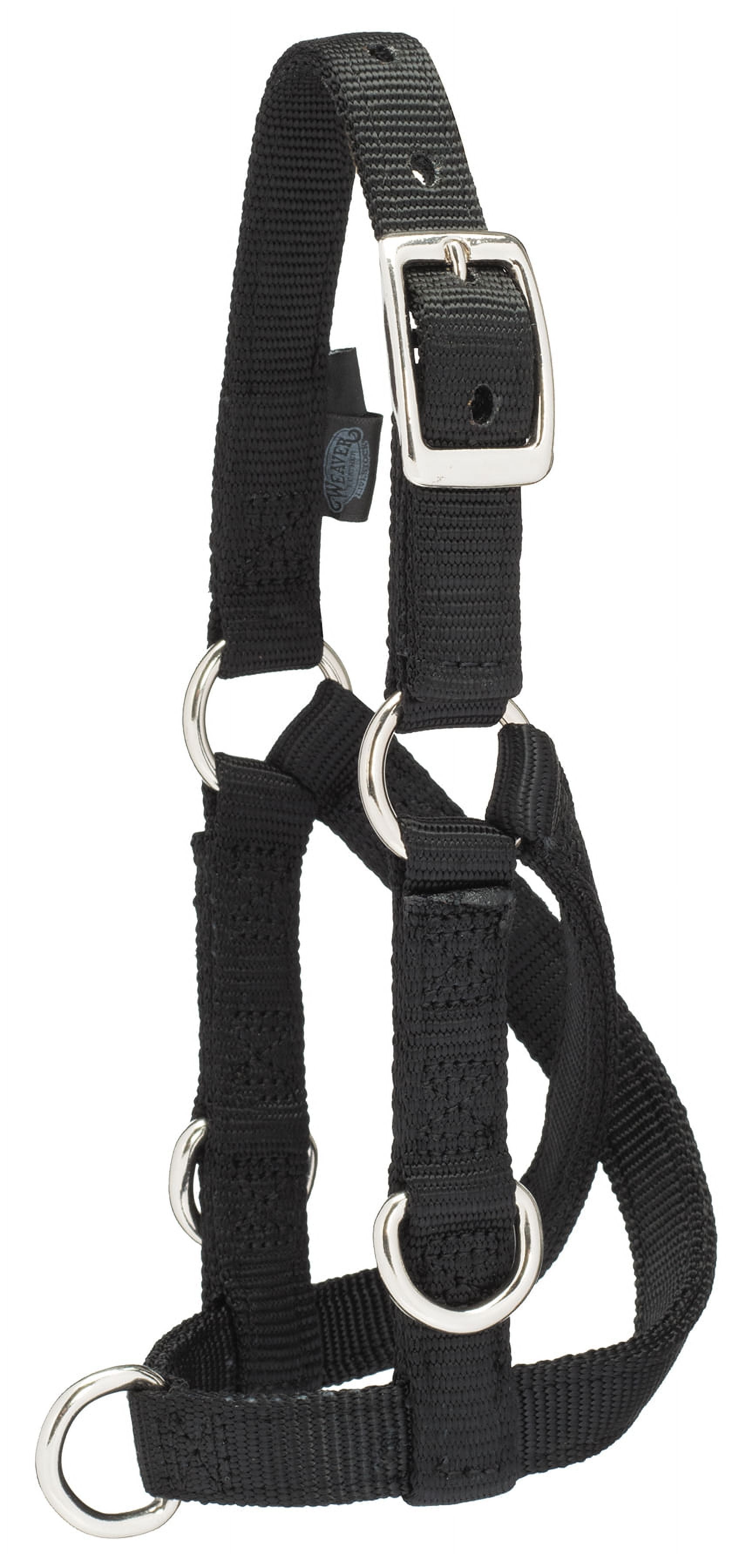 Weaver Leather Livestock Sheep & Goat Training Halter - Walmart.com