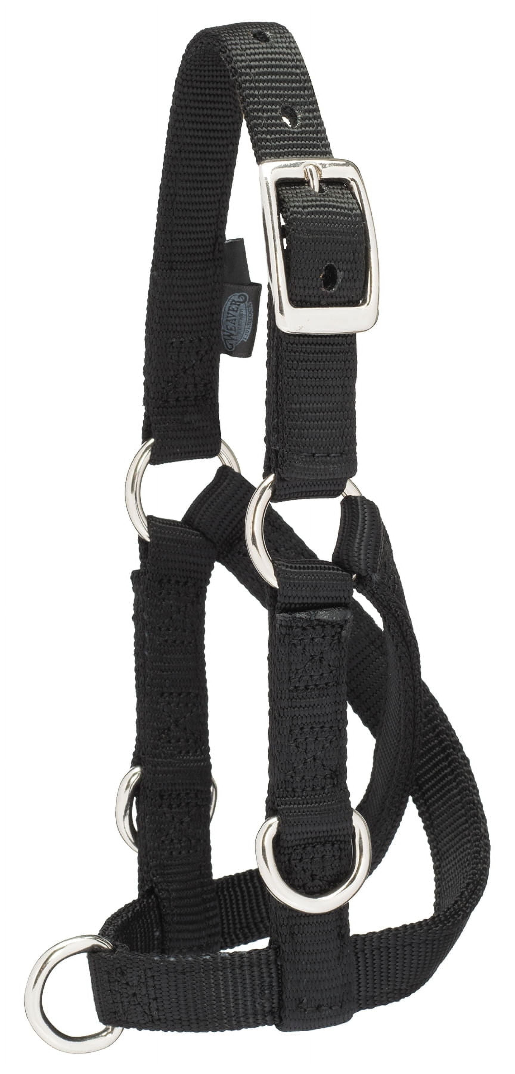 Weaver Leather Livestock Sheep & Goat Treadmill Halter - Walmart.com