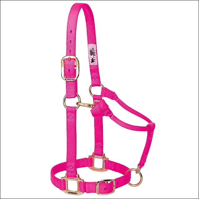 Weaver Leather Original Adjustable Nylon Weanling / Suckling / Arabian ...
