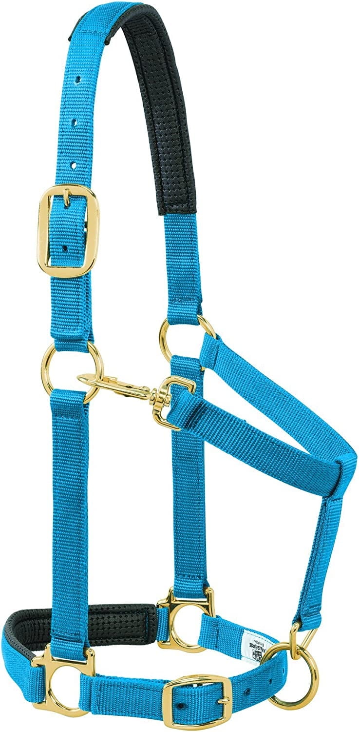 Weaver Leather Padded Adjustable Chin and Throat Snap Halter, 1" Small ...