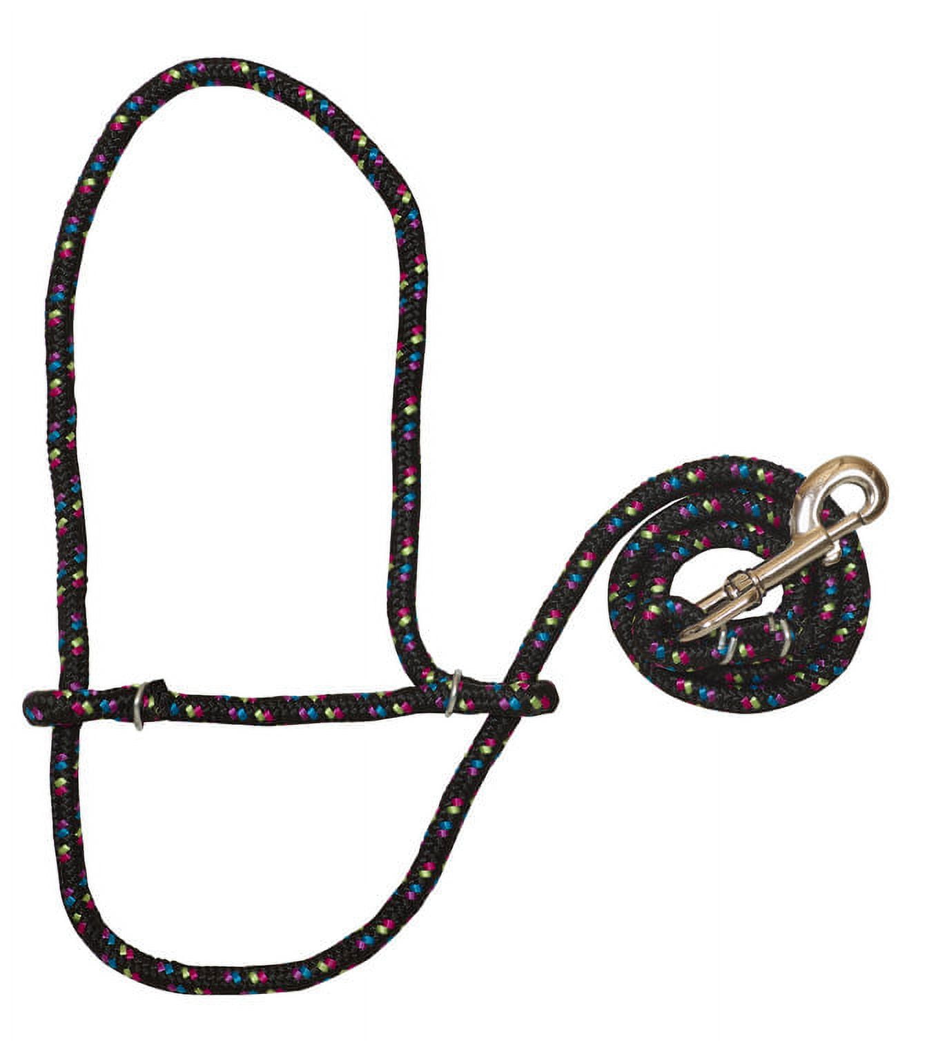 Weaver Leather Rope Sheep Halter with Snap and 52" Lead (Black/Pink ...