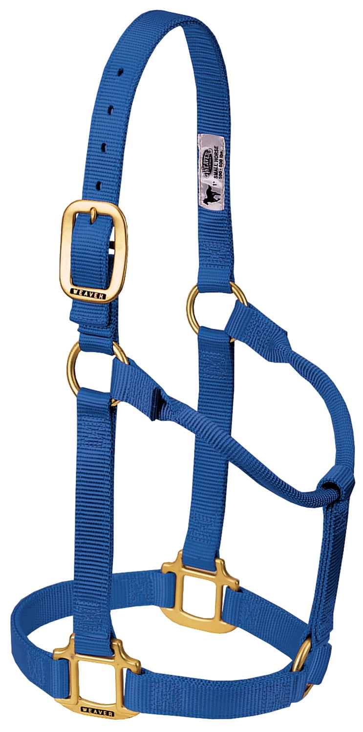Weaver Leather Triple-Ply Nylon Halter with Solid Brass Hardware Blue ...