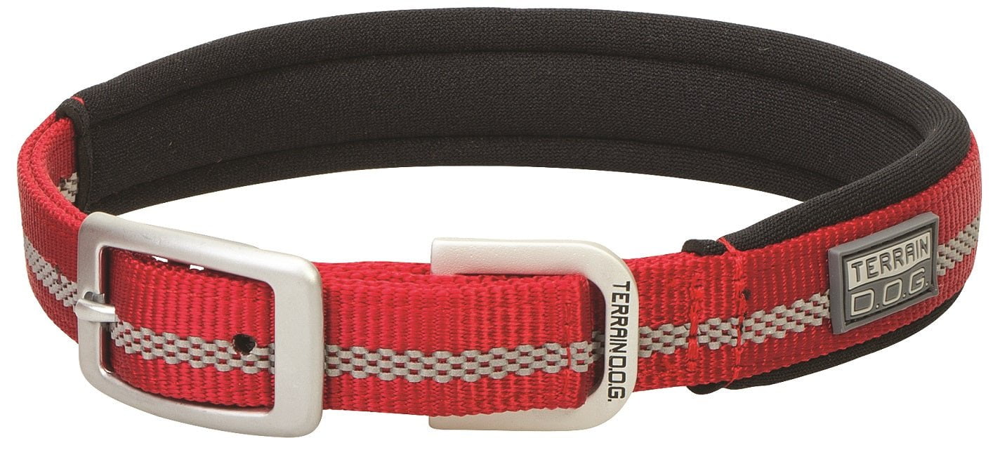 Weaver Terrain D.O.G. Reflective Dog Collar: Adventure-Ready & Safe! 13 ...