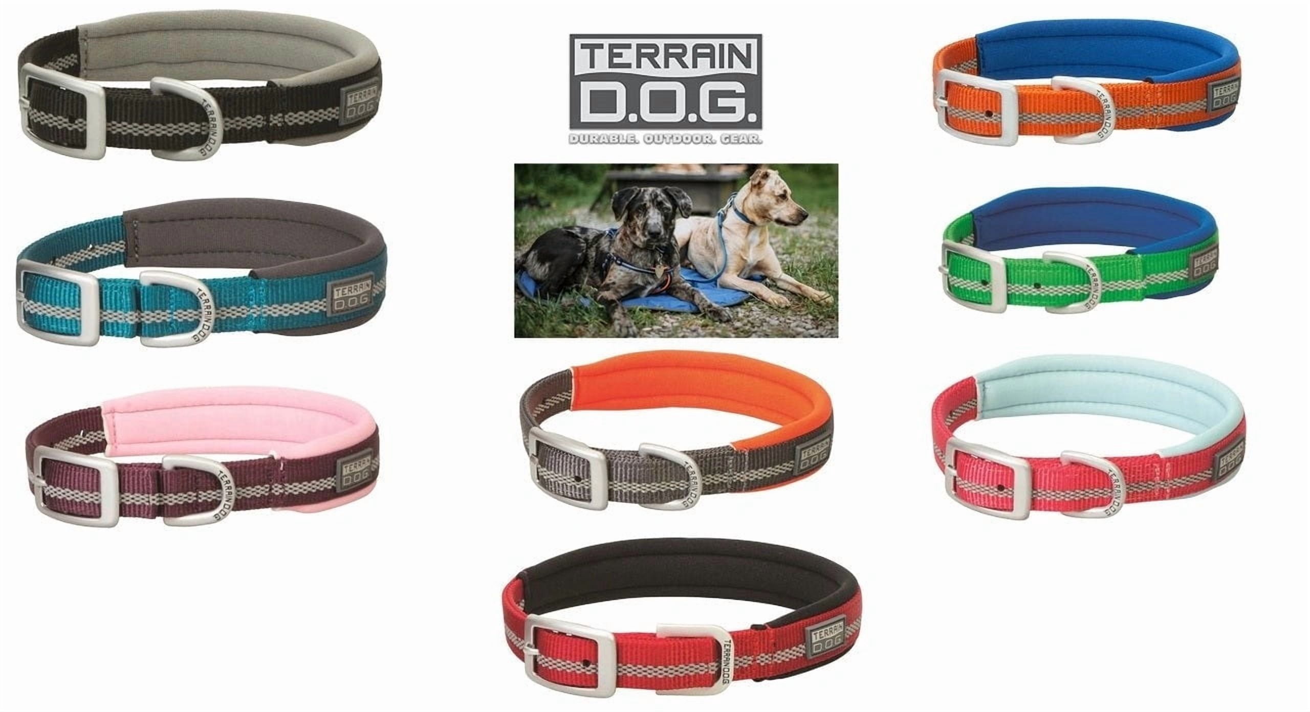 Weaver Terrain D.O.G. Reflective Dog Collar: Adventure-Ready & Safe! 21 ...