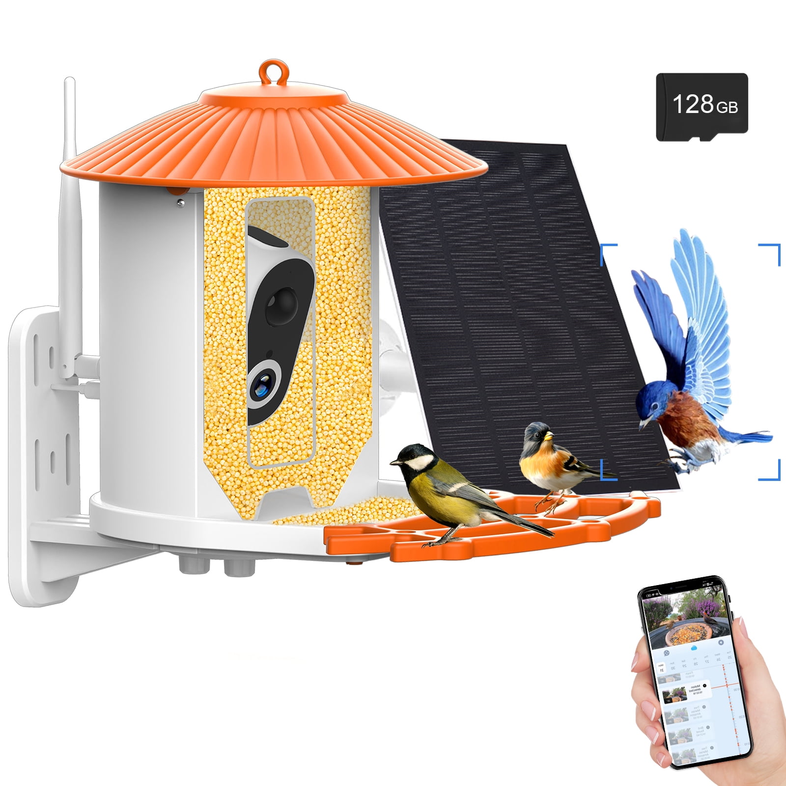 Webcam,1080p Camera Species Pir Human Ai Identify Species Wifi 2-way ...