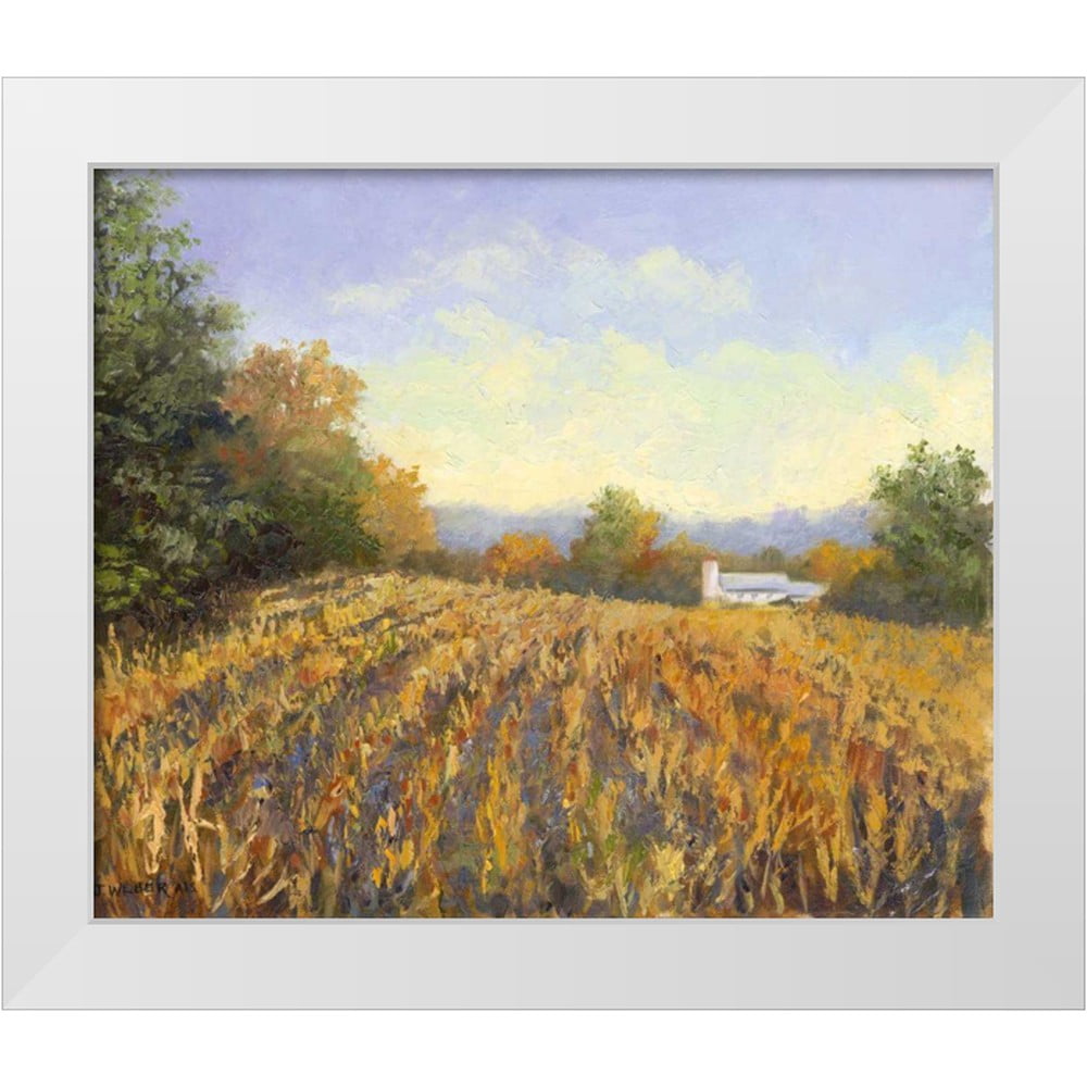 Weber, Mary Jean 17x15 White Modern Wood Framed Museum Art Print Titled ...