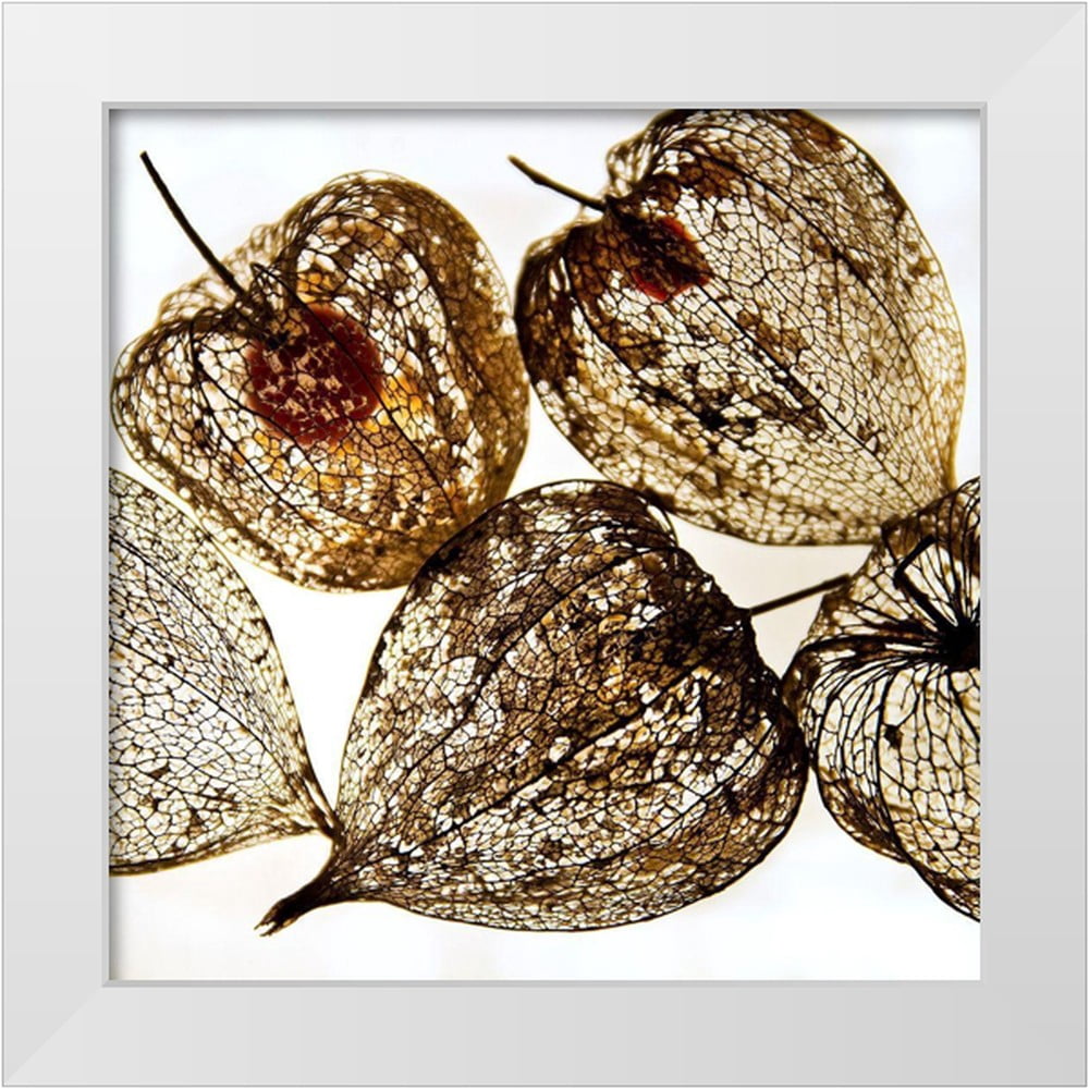 Weber, Matthias 12x12 White Modern Wood Framed Museum Art Print Titled ...