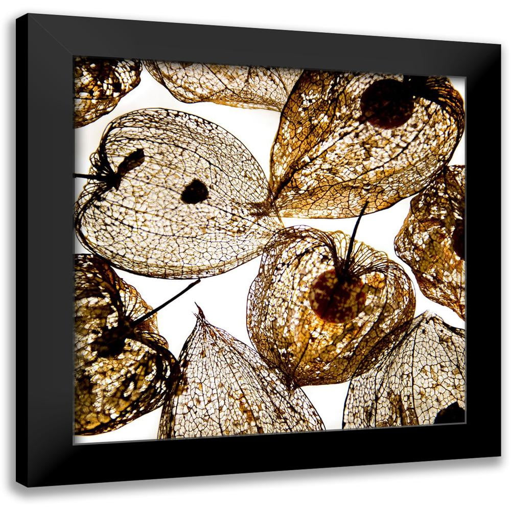 Weber, Matthias 20x20 Black Modern Framed Museum Art Print Titled ...