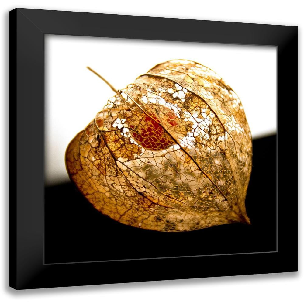 Weber, Matthias 20x20 Black Modern Framed Museum Art Print Titled ...