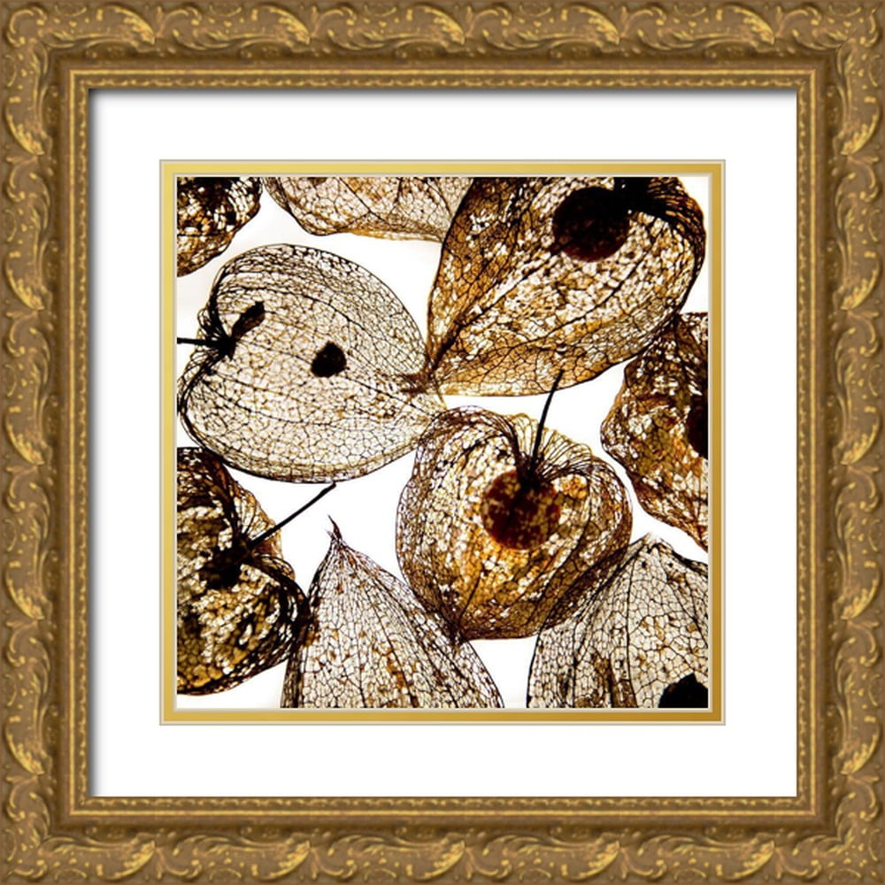 Weber, Matthias 20x20 Gold Ornate Wood Framed with Double Matting ...