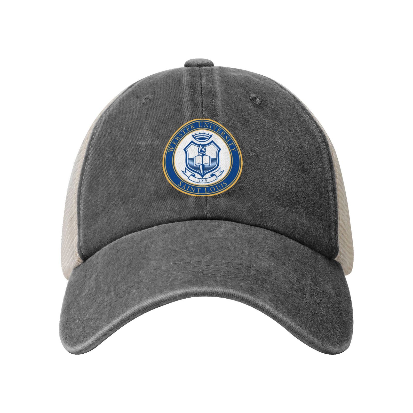Webster Aa University Hat Adjustable Athletic Vintage Washed Distressed ...