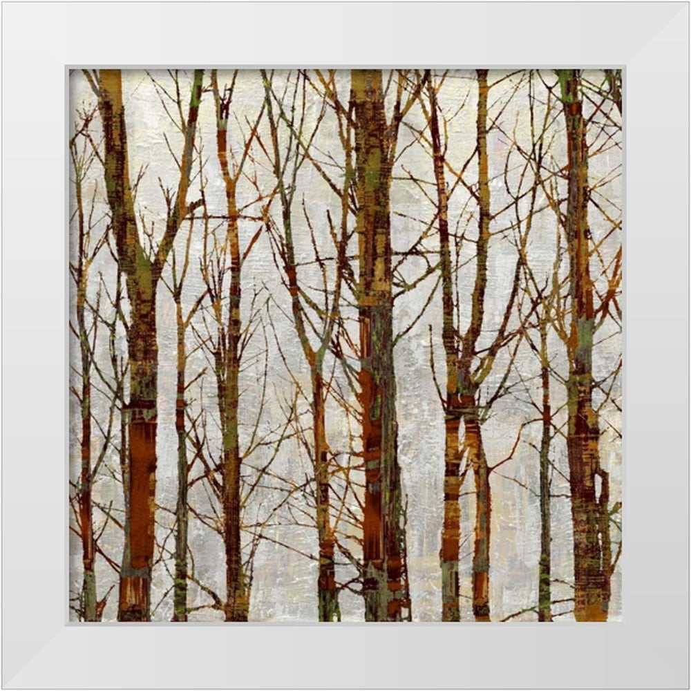 Webster, Kyle 26x26 White Modern Wood Framed Museum Art Print Titled ...