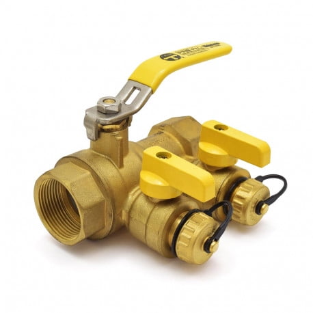 Webstone Valves 1-1/4" NPT Threaded Purge & Fill Ball Valve w/ Hose ...