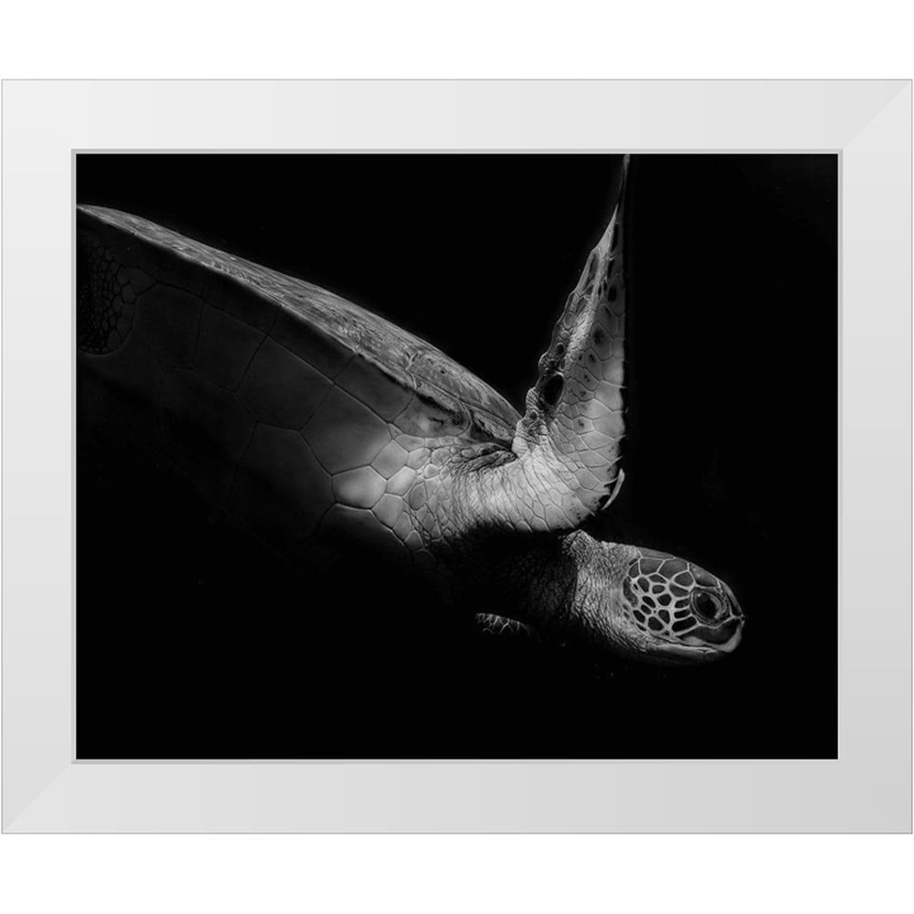 Wechsler, Robin 24x20 White Modern Wood Framed Museum Art Print Titled ...