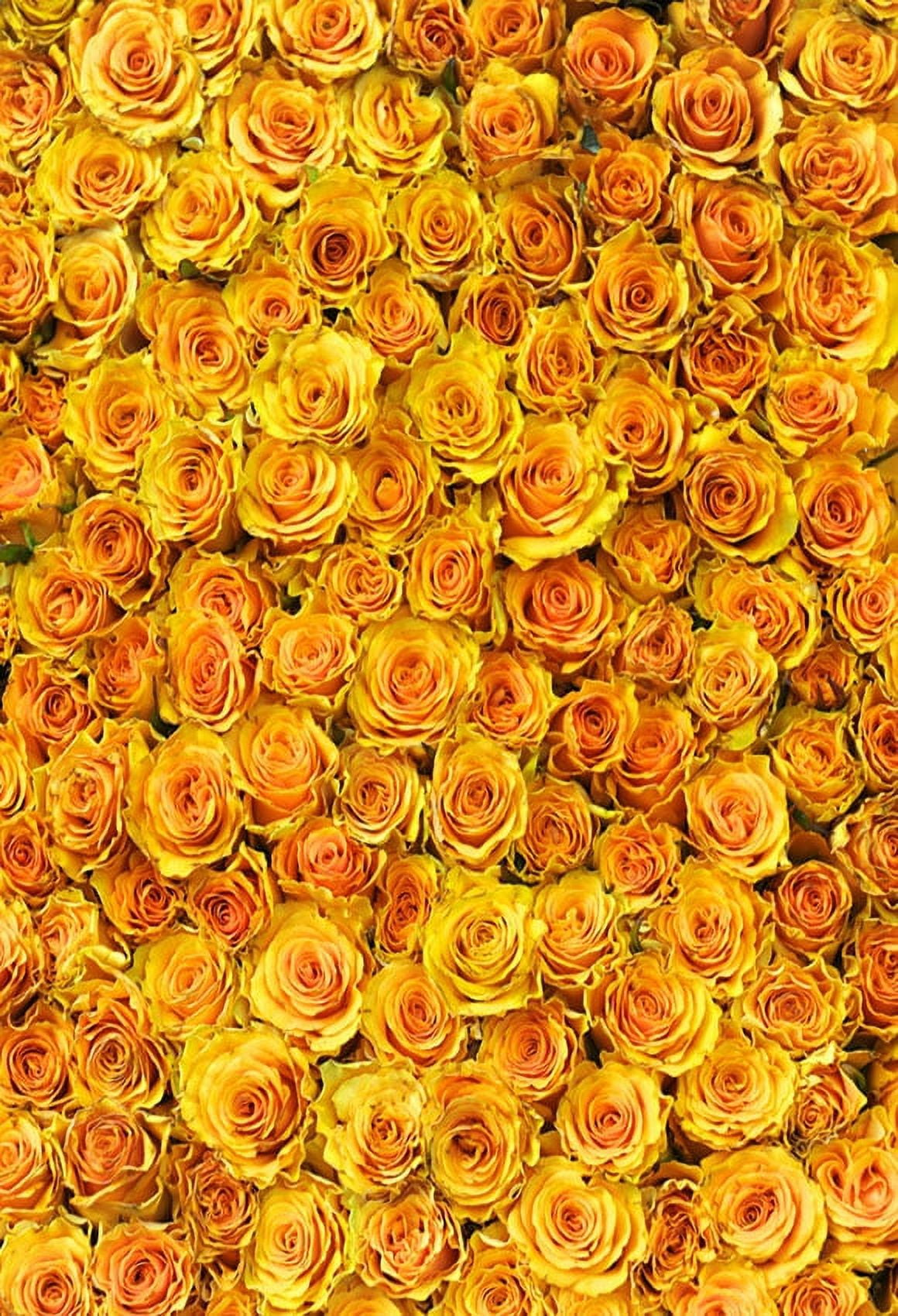 Wedding Backdrops wedding Flowers Wall Photography Background birthday ...