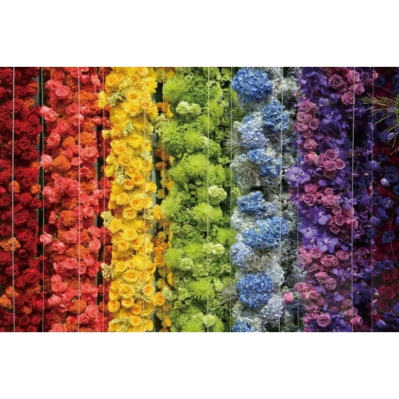 Wedding Roes Flower Color Alternating Wall Photography Background ...