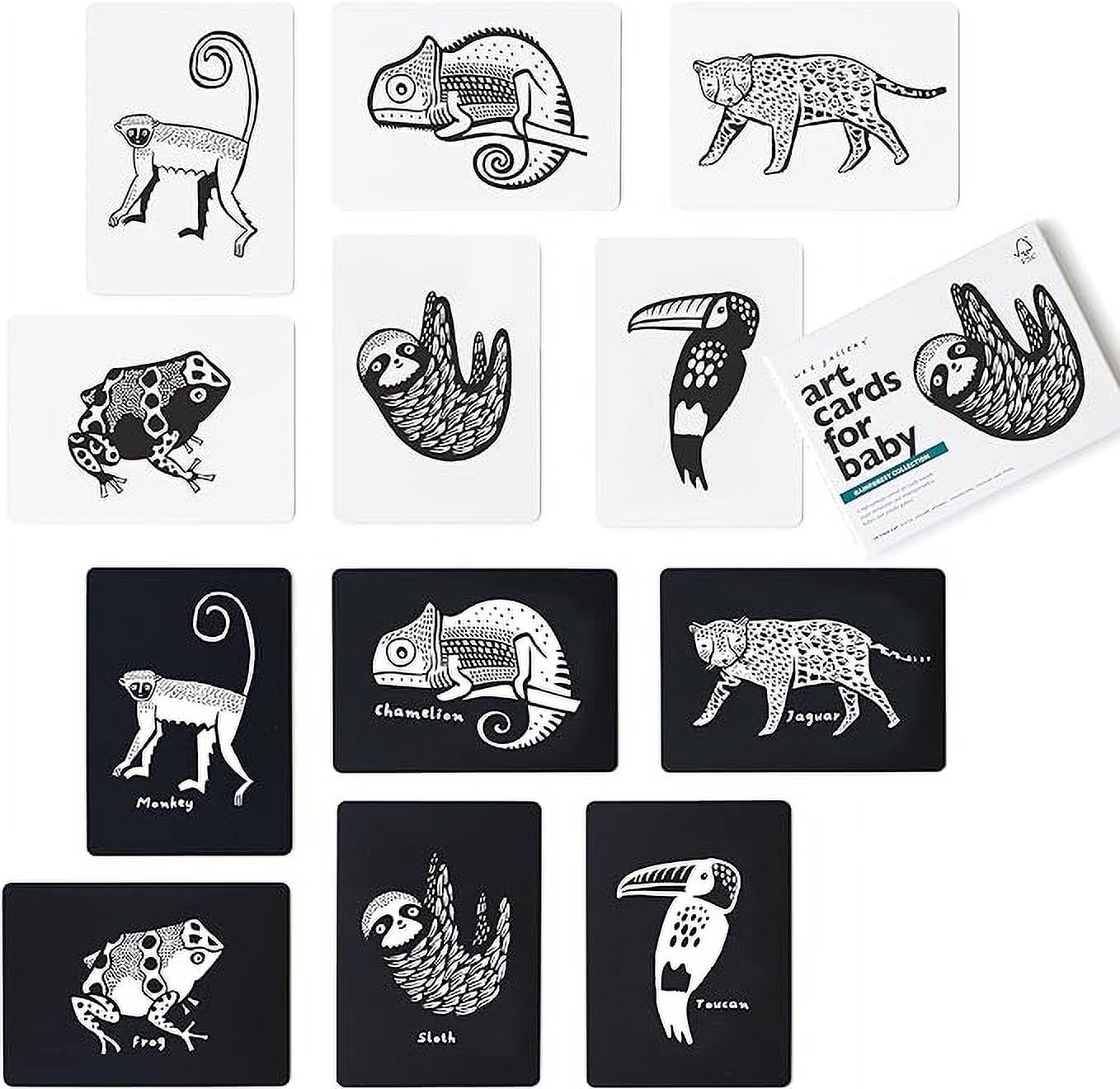 Wee Gallery Black and White Art Flash Cards for Babies, High Contrast ...