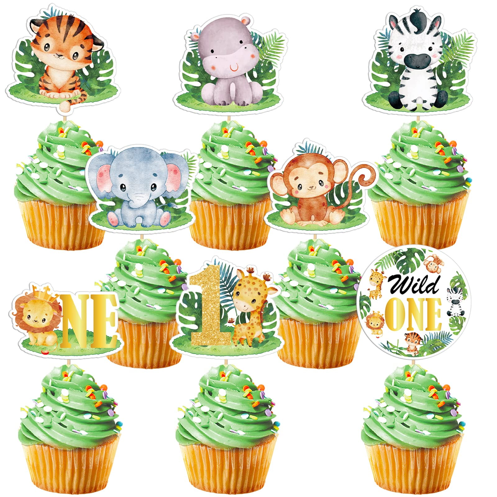 Weecent 48 PCS Wild One Cupcake RST1 Toppers Baby 1st Birthday ...