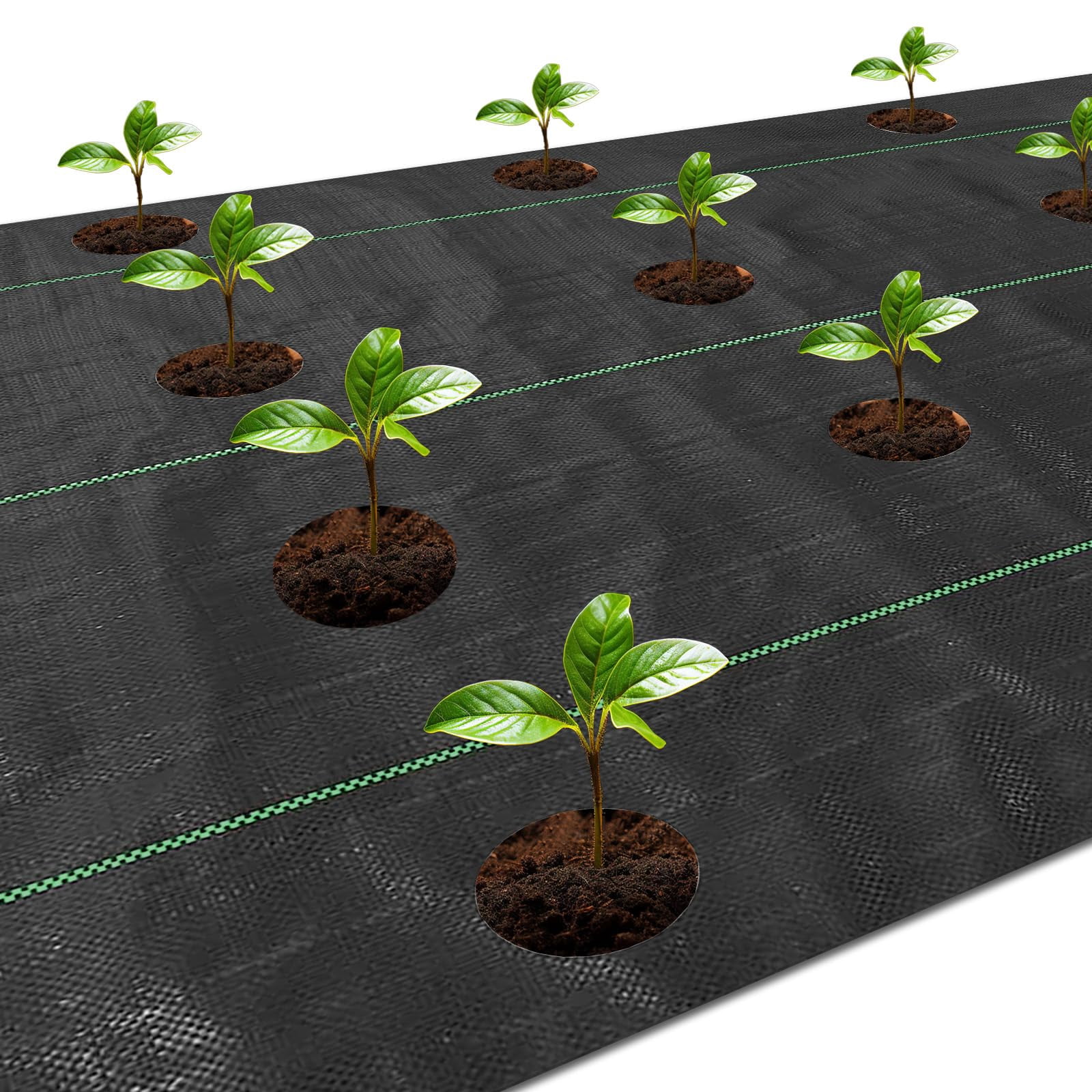 Weed Barrier Landscape Fabric with 3'' Planting Holes,Garden Weed ...