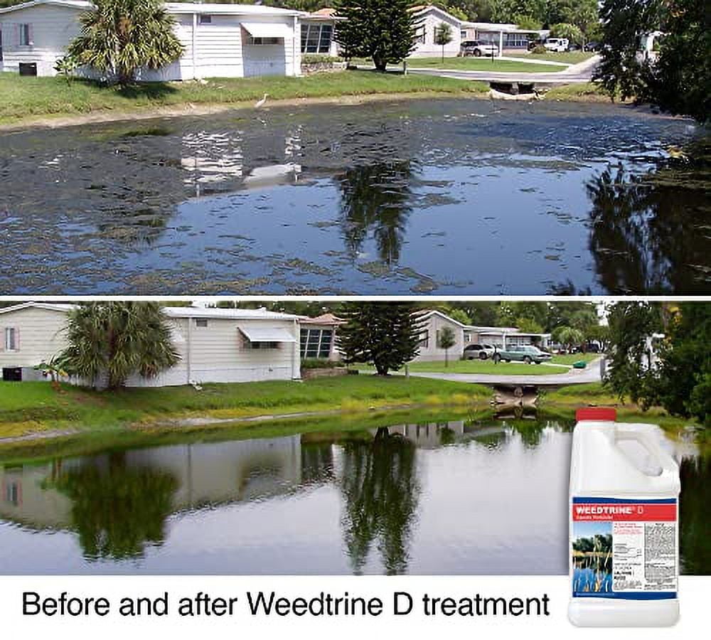 Weedtrine D Aquatic Herbicide - Gallon. Professional-Grade, Fast-Acting ...