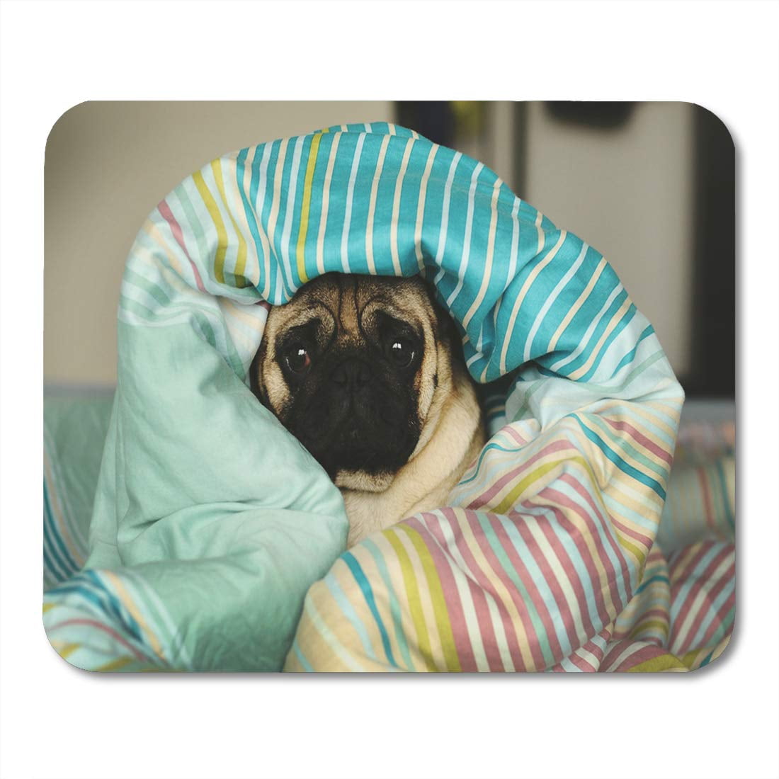 Weekend Beige Dog Sleepy Sad Pug in Wrapped Mousepad Mouse Pad Mouse ...