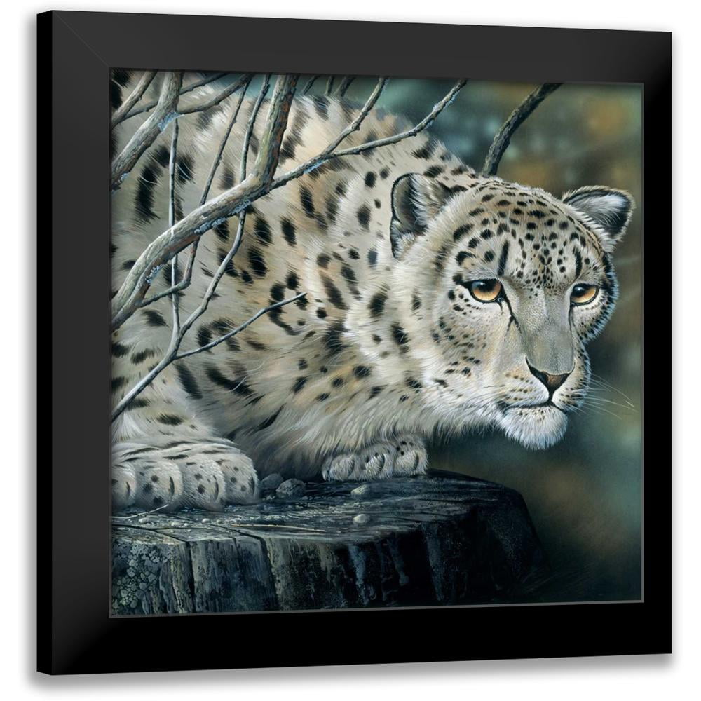 Weenink, Jan 20x20 Black Modern Framed Museum Art Print Titled - White tiger - Walmart.com