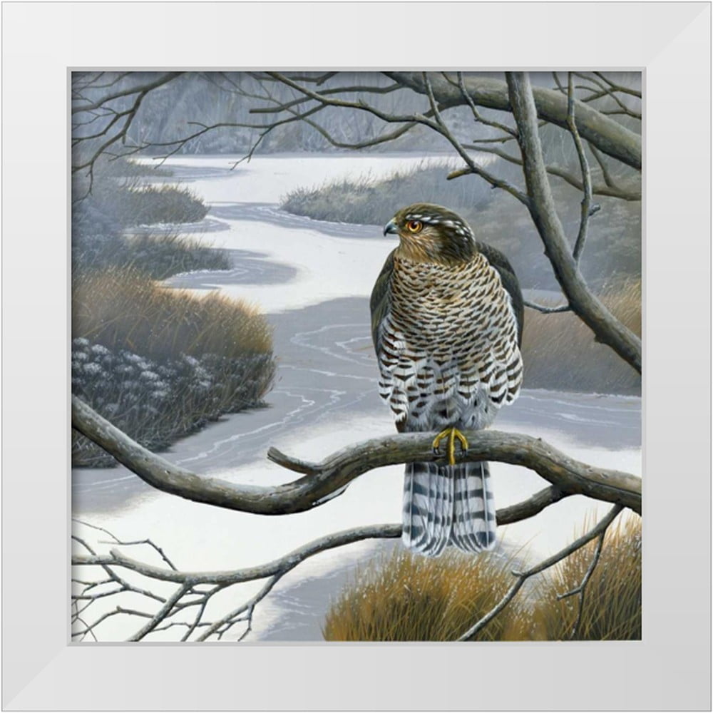 Weenink, Jan 26x26 White Modern Wood Framed Museum Art Print Titled - Hawk in tree - Walmart.com