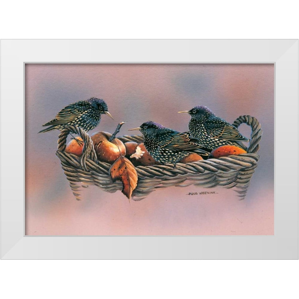 Weenink, Ruud 14x11 White Modern Wood Framed Museum Art Print Titled - Family birds - Walmart.com