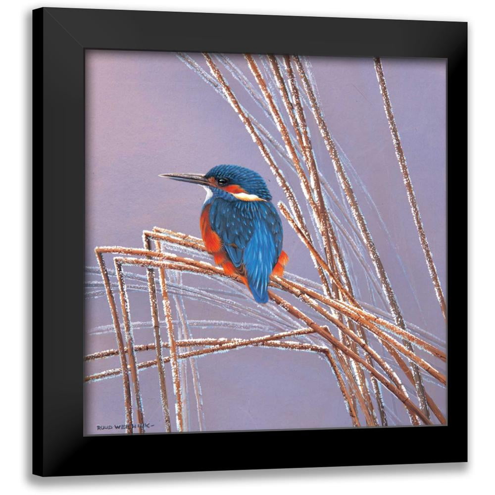 Weenink, Ruud 15x15 Black Modern Framed Museum Art Print Titled - Peace ...