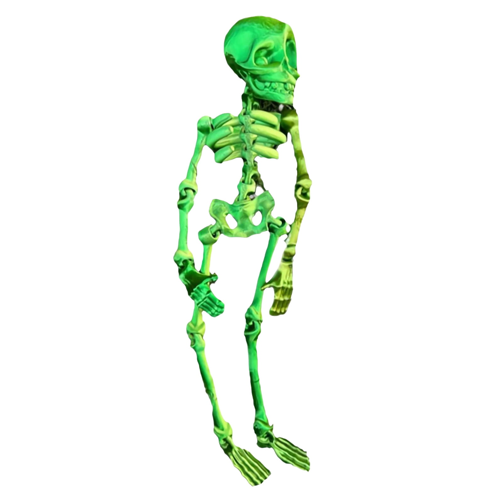 Weerihhol Skeleton Decoration Full Body Can Be Arranged With Realistic ...
