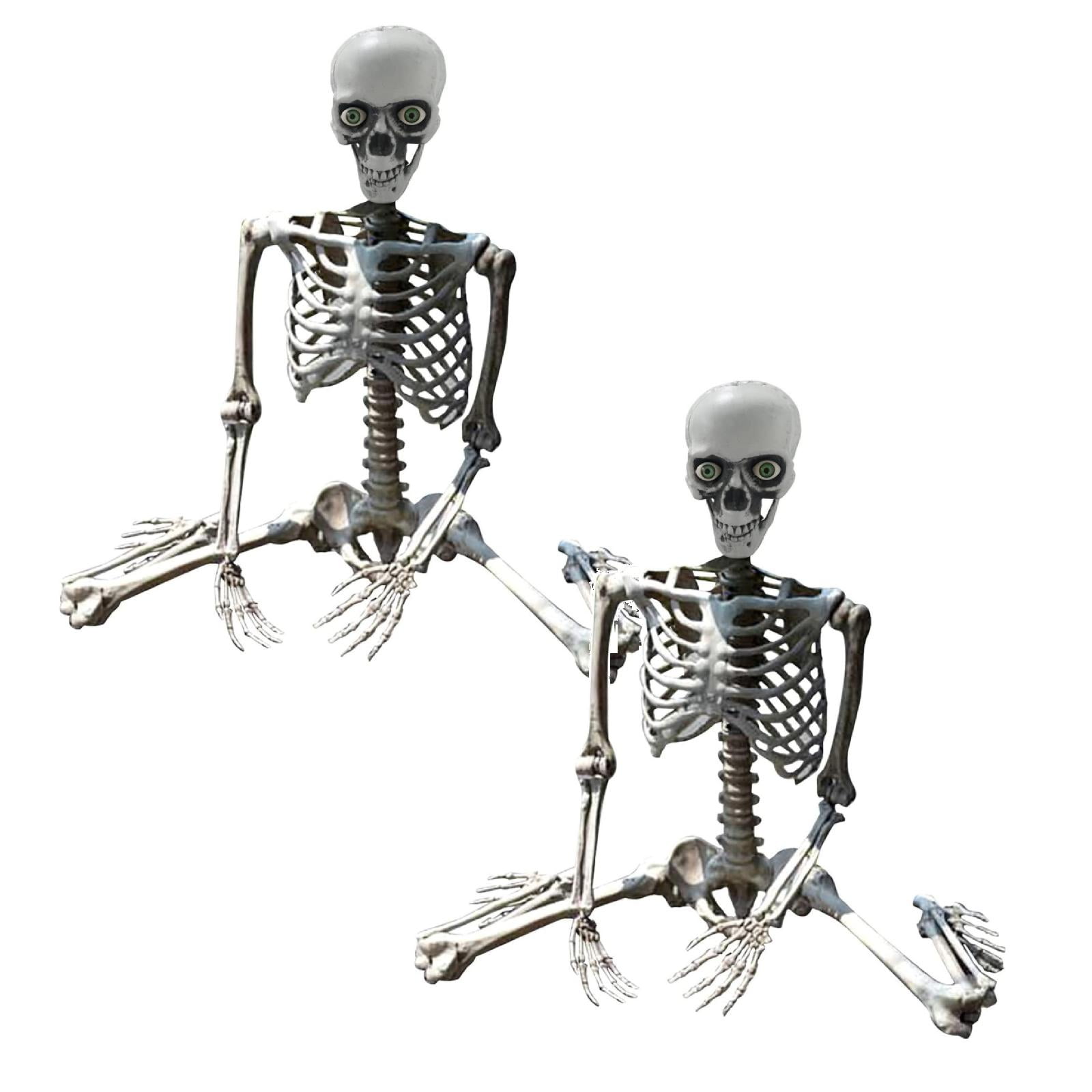 Weerihhol Skeleton Prop Deco Skeleton Life Size Full Body Posable ...