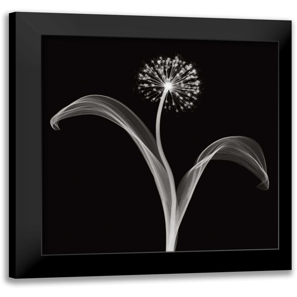 Wehtje, Jim 20x20 Black Modern Framed Museum Art Print Titled - Into ...