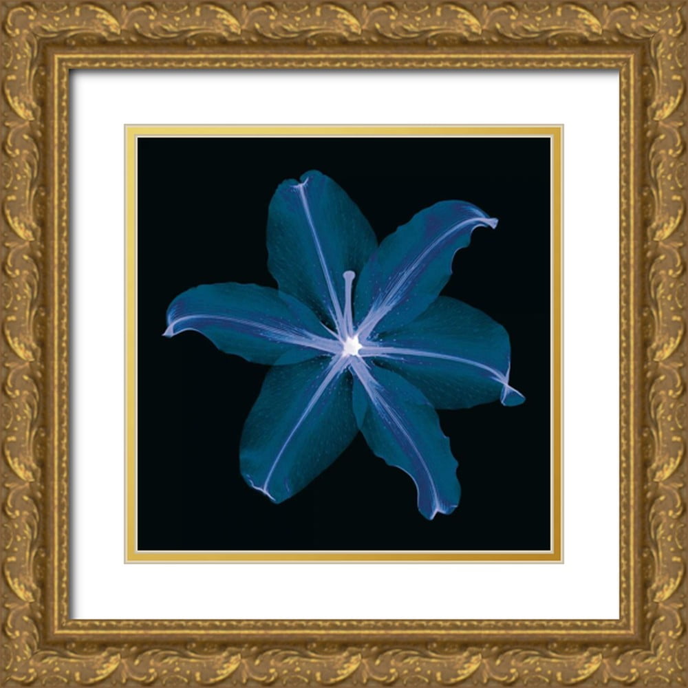 Wehtje, Jim 20x20 Gold Ornate Wood Framed with Double Matting Museum ...