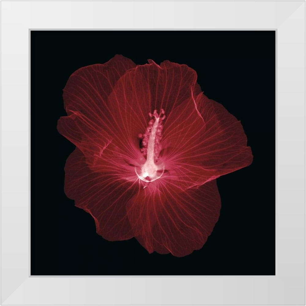 Wehtje, Jim 20x20 White Modern Wood Framed Museum Art Print Titled ...