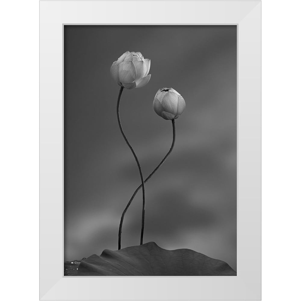 Wei, Taiga 23x32 White Modern Wood Framed Museum Art Print Titled ...