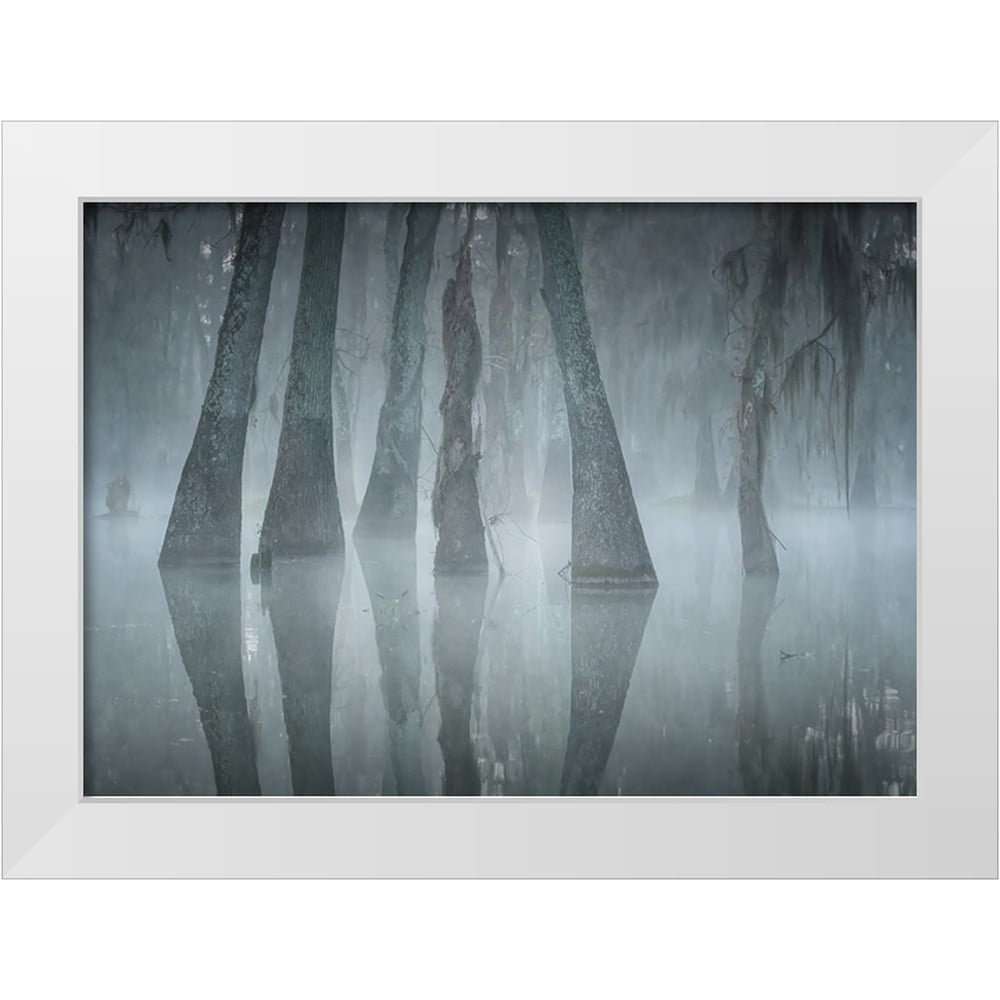 Wei, Willa 32x24 White Modern Wood Framed Museum Art Print Titled ...