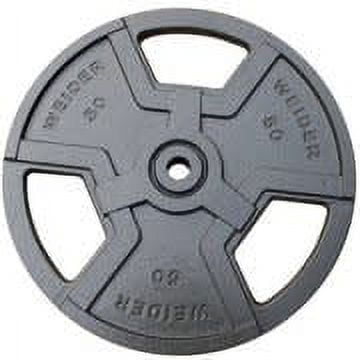 Weider 50 lb Standard Hammertone Weight Plate for Training and Workout ...