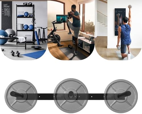 Weight Plate Storage ,Commercial Gym,Wall Mounted Weight Plate Holder ...