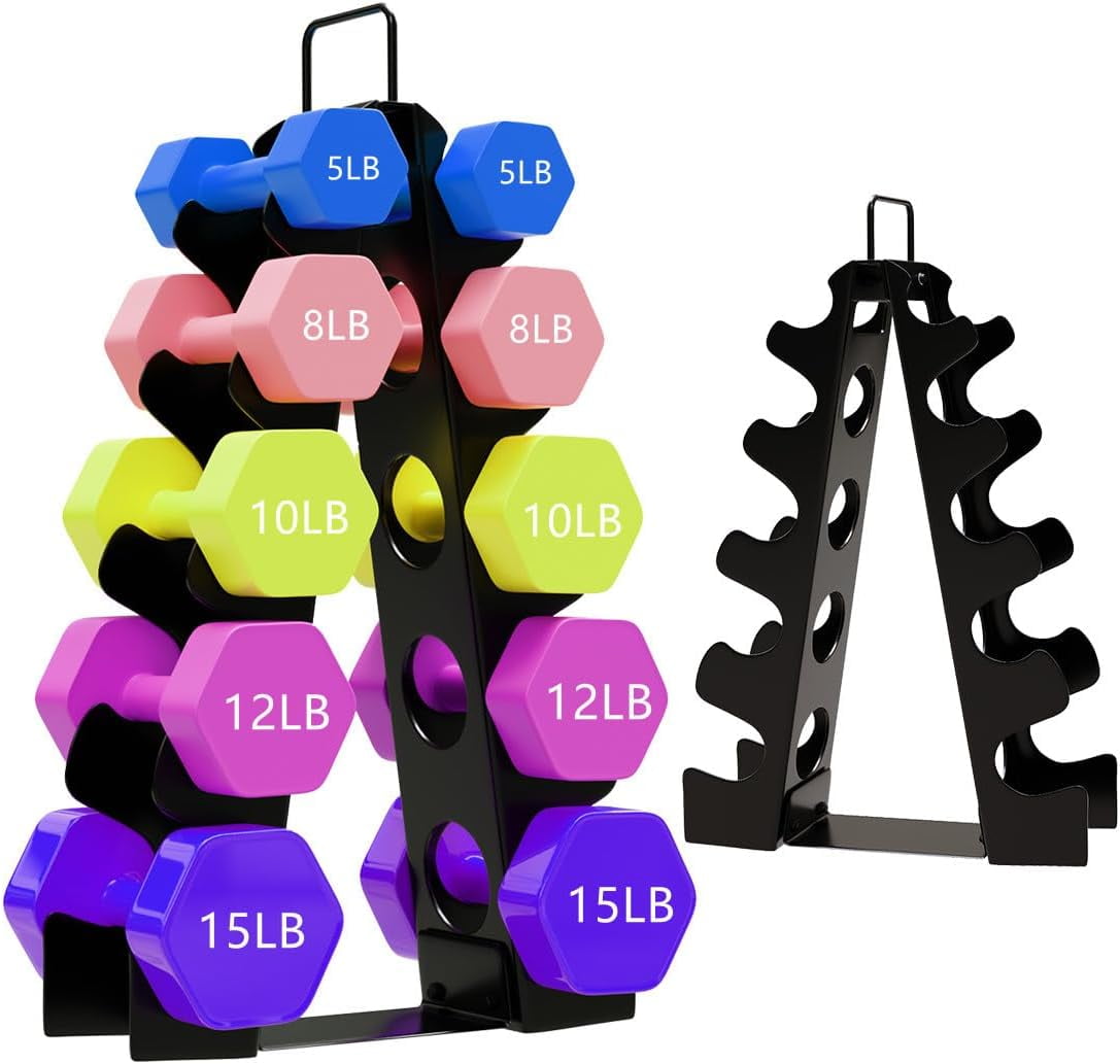 Weight Rack for Home Gym, Compact A-Frame Dumbbell Rack with Handle ...