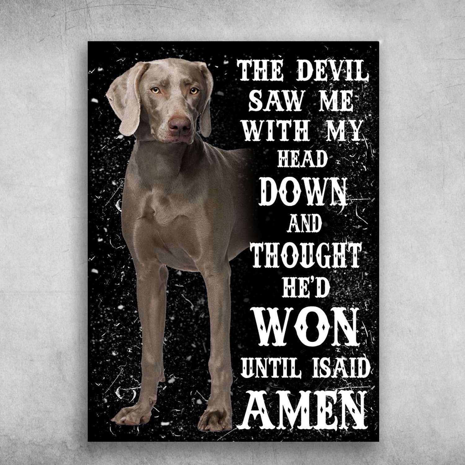 Weimaraner Dog, Dog Lover, The Devil Saw Me, With My Head Down And ...