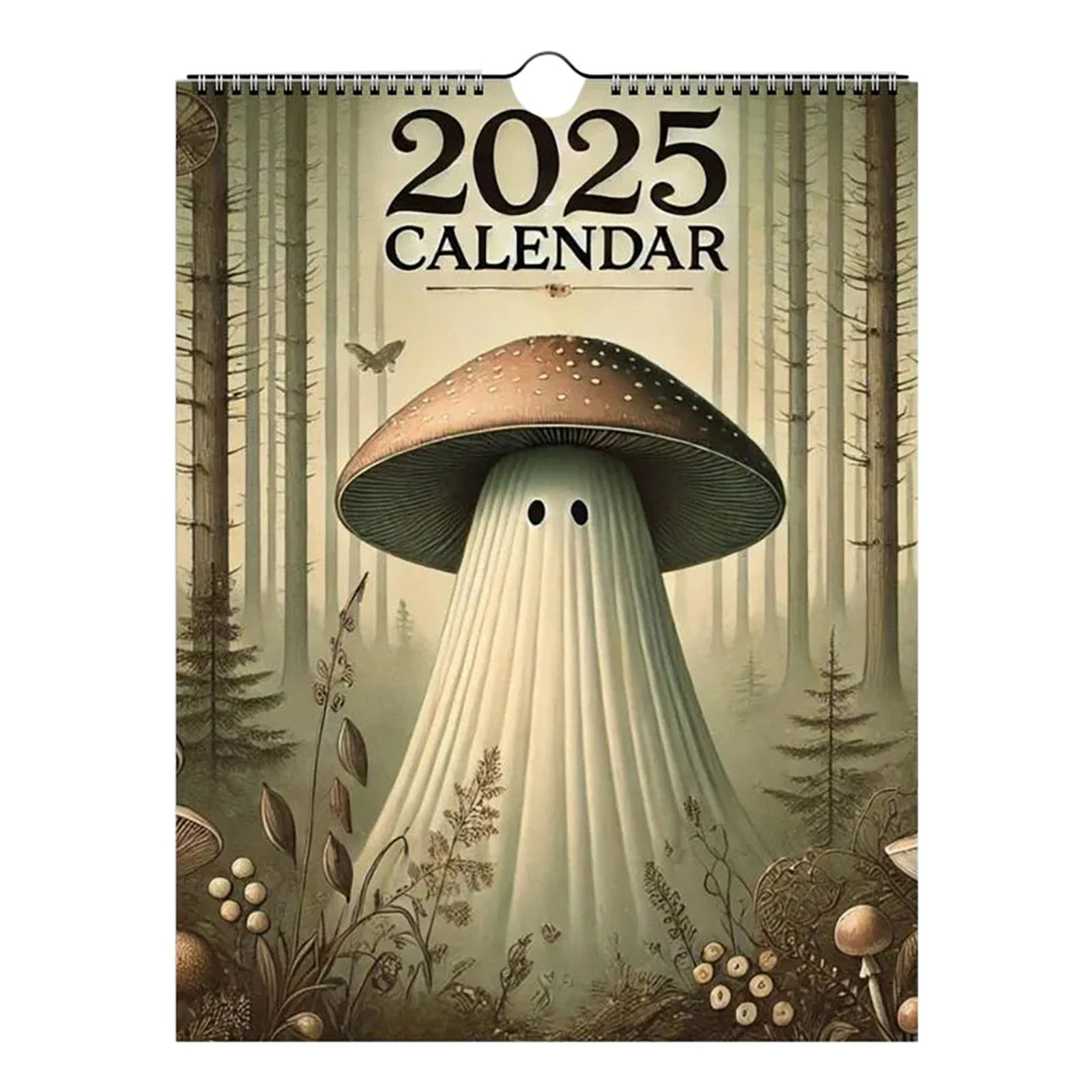 Weird Medieval Owl Calendar 2025 Funny Owl Wall Calendar Monthly ...