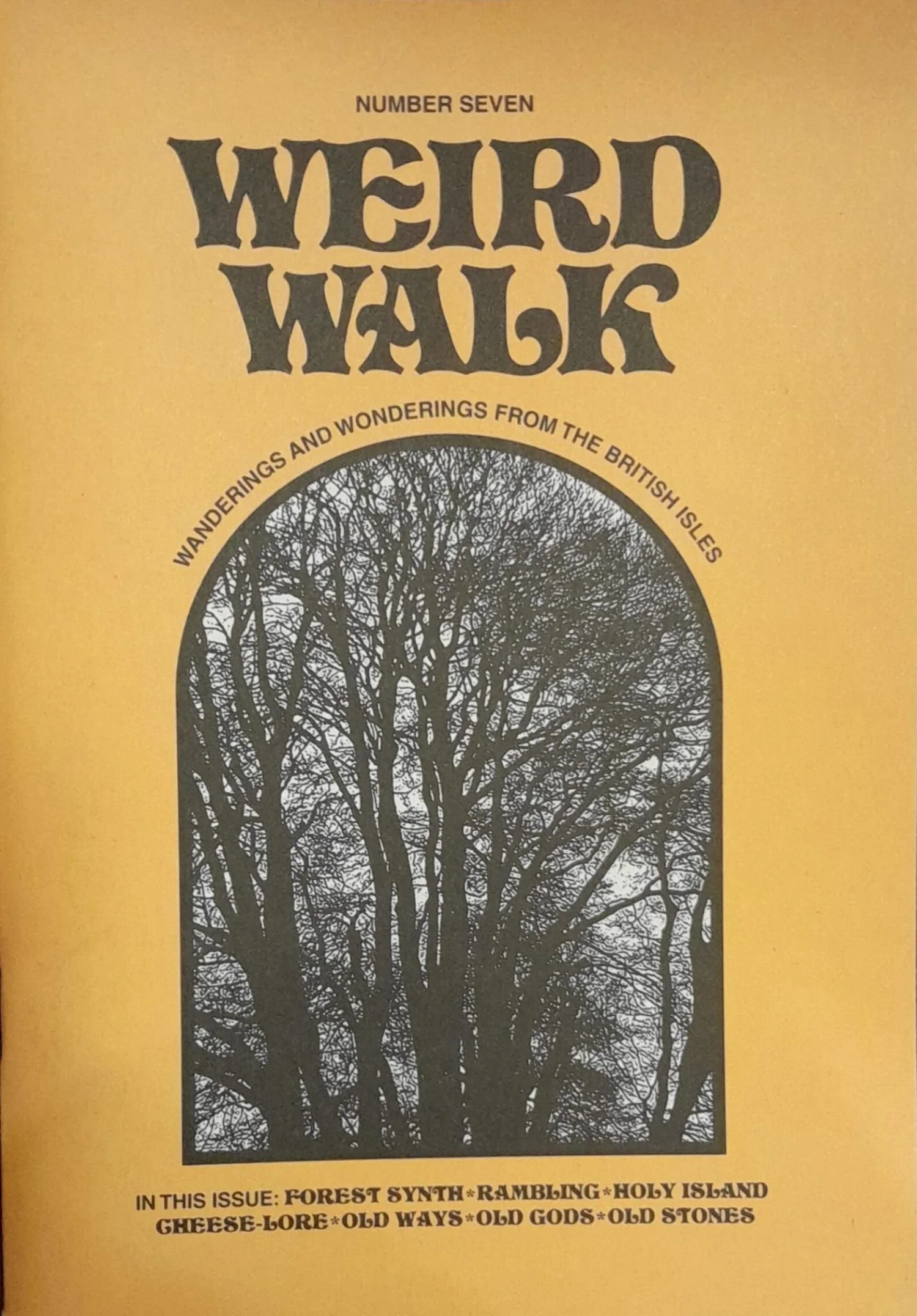 Weird Walk Magazine Issue 7 (Paperback - New-Adult,Senior) - Walmart.com