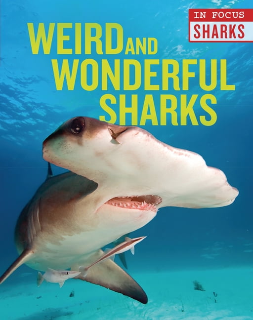 Weird and Wonderful Sharks - Walmart.com