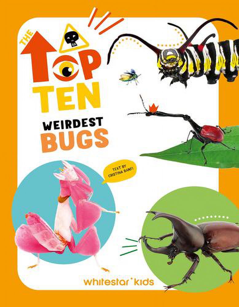 Weirdest Bugs Binding: Hardcover - Walmart.com
