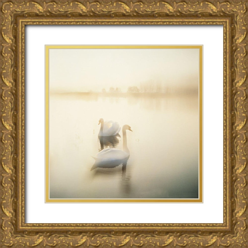 Weissing, Gerd 20x20 Gold Ornate Wood Framed with Double Matting Museum ...