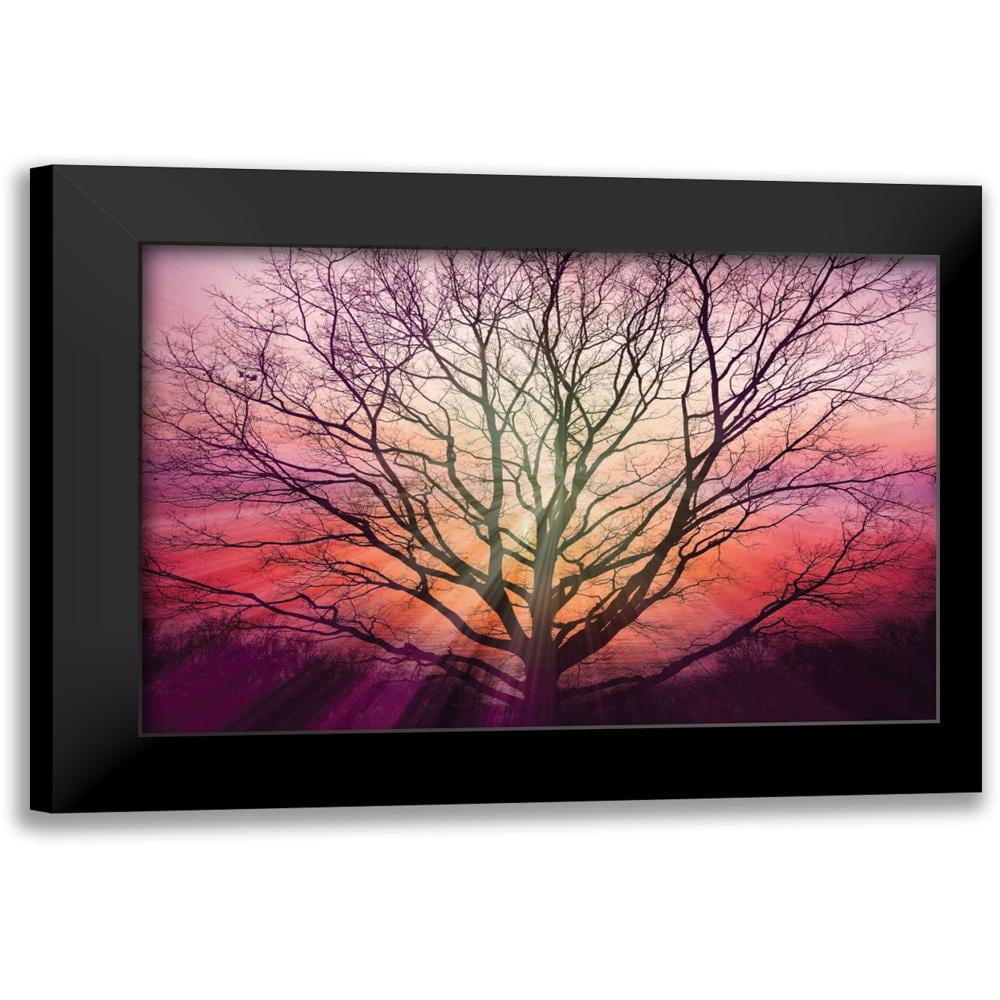 Weisz, Irene 14x11 Black Modern Framed Museum Art Print Titled ...