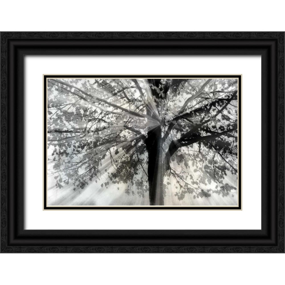 Weisz, Irene 14x11 Black Ornate Wood Framed with Double Matting Museum ...