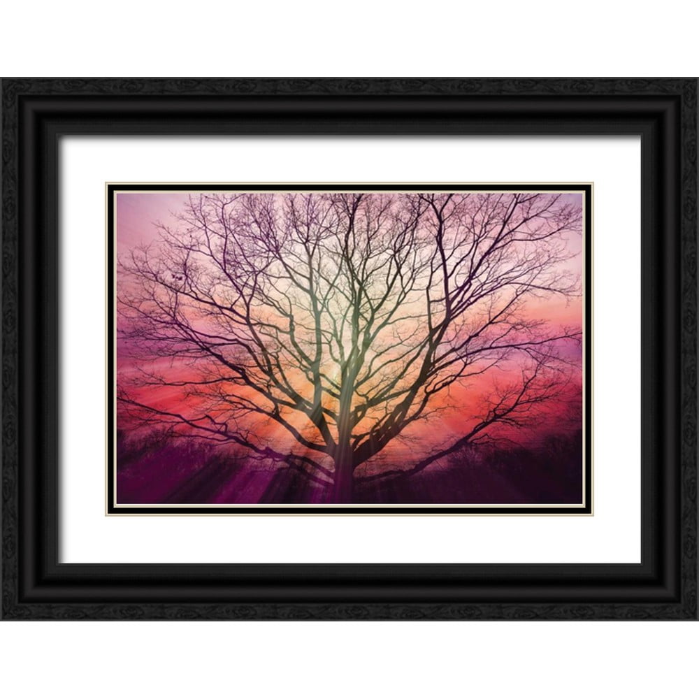 Weisz, Irene 14x11 Black Ornate Wood Framed with Double Matting Museum ...