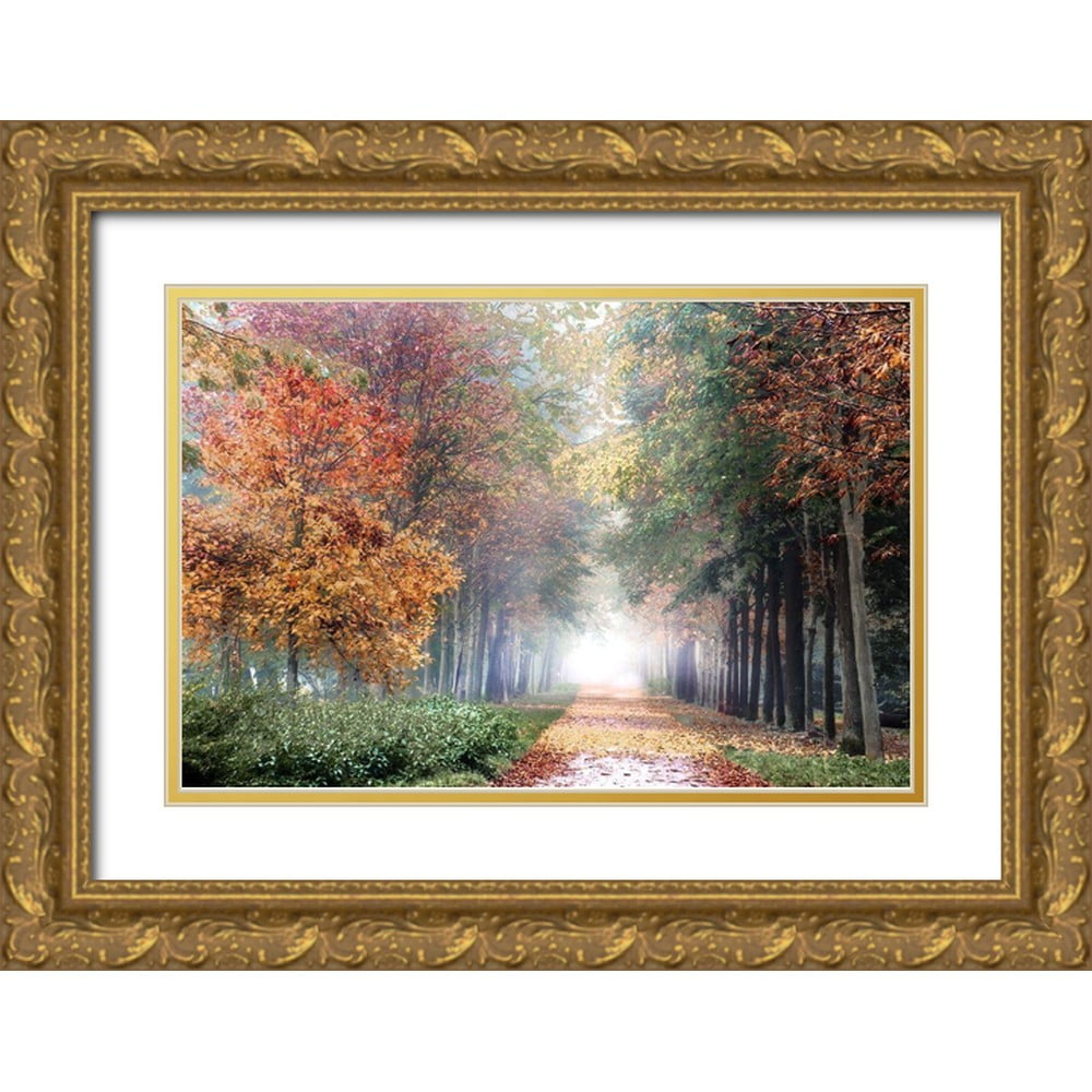 Weisz, Irene 14x11 Gold Ornate Wood Framed with Double Matting Museum ...